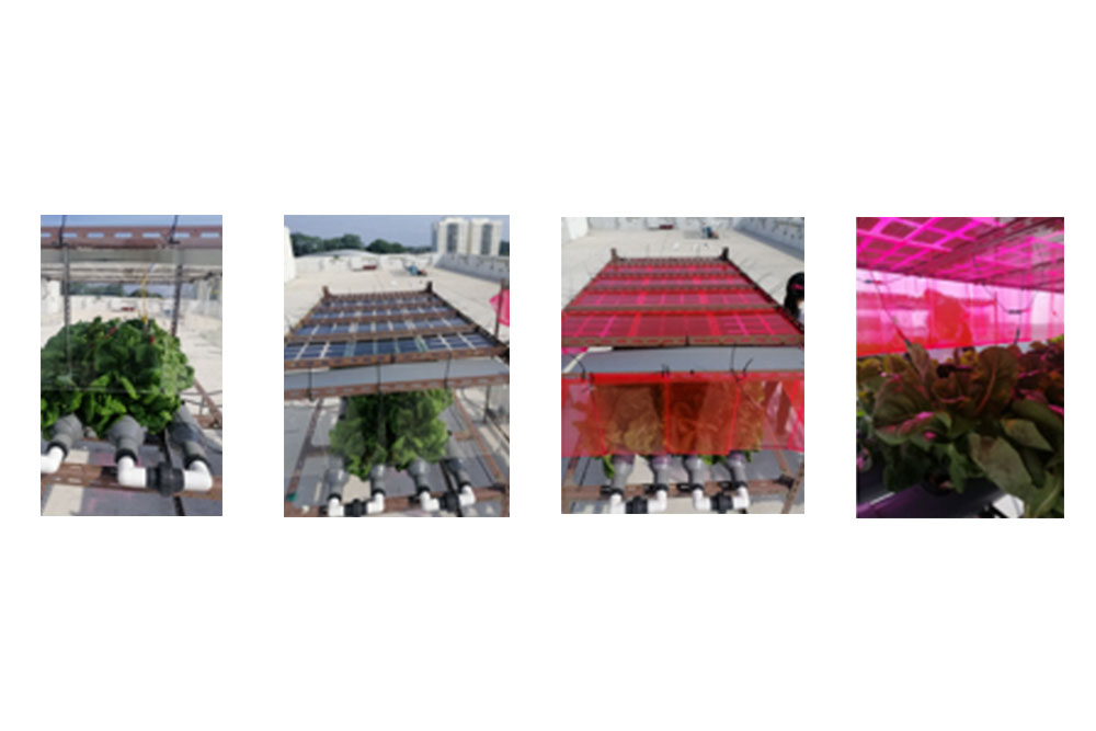 Wavelength-selective Solar Photovoltaic System (WSPV) for Urban Rooftop ...