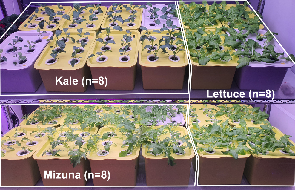 Improving Crop Yield Through Optimised Nutrient Formulation