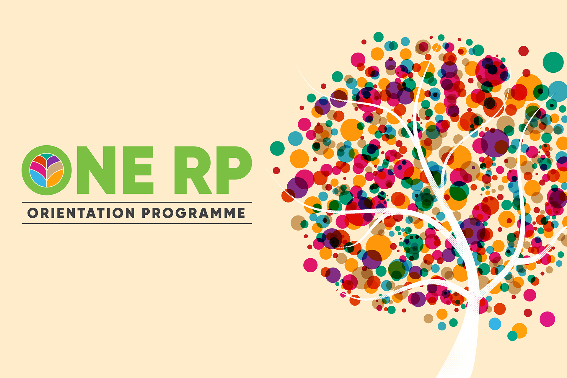 Orientation Programme